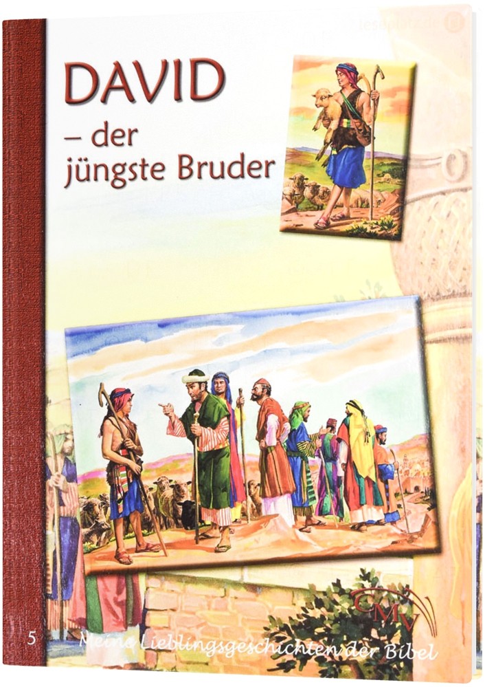 David - der jüngste Bruder (5) (Buch - Hardcover)