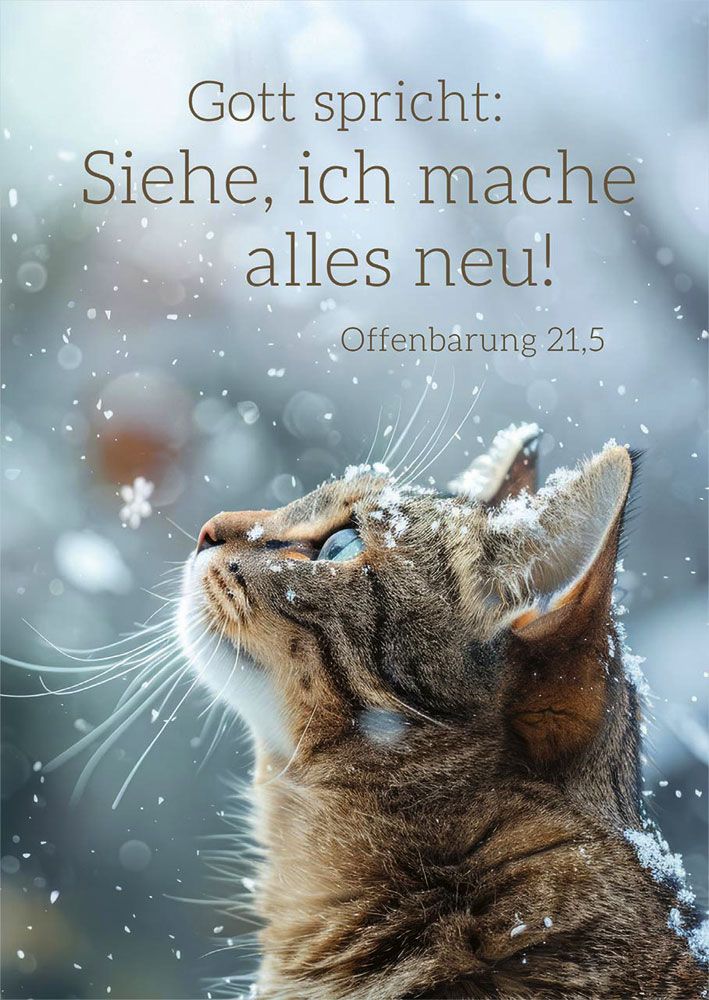 Postkarte "Jahreslosung 2026" (Katze)