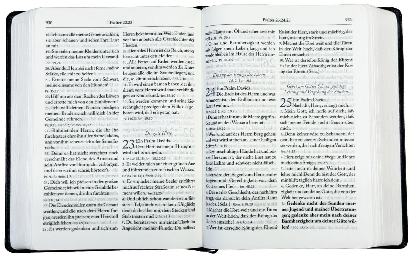 Die Bibel Martin Luther 1912 - Großdruck (Buch - Kunstleder)