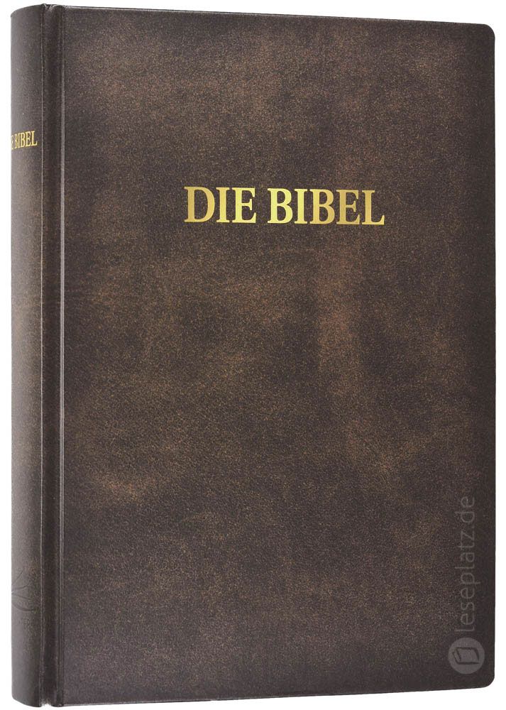 Schlachter 2000 - Schreibrandausgabe mit Parallelstellen (Buch - Hardcover)