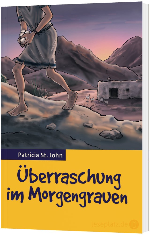 Überraschung im Morgengrauen (Taschenbuch - kartoniert)